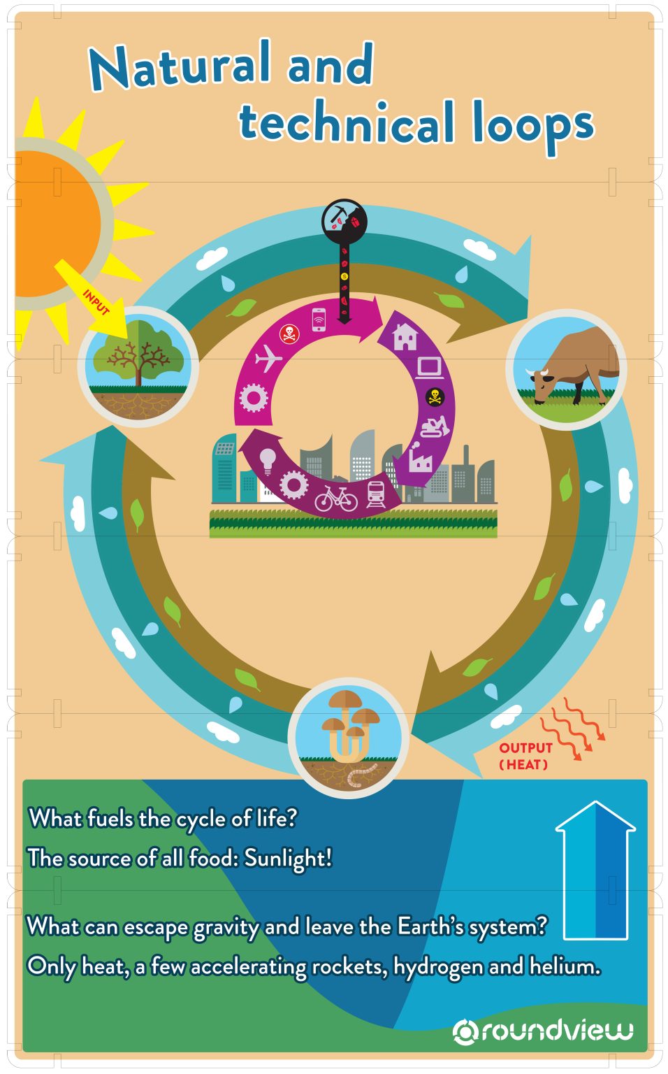 Which Loop? – RoundView